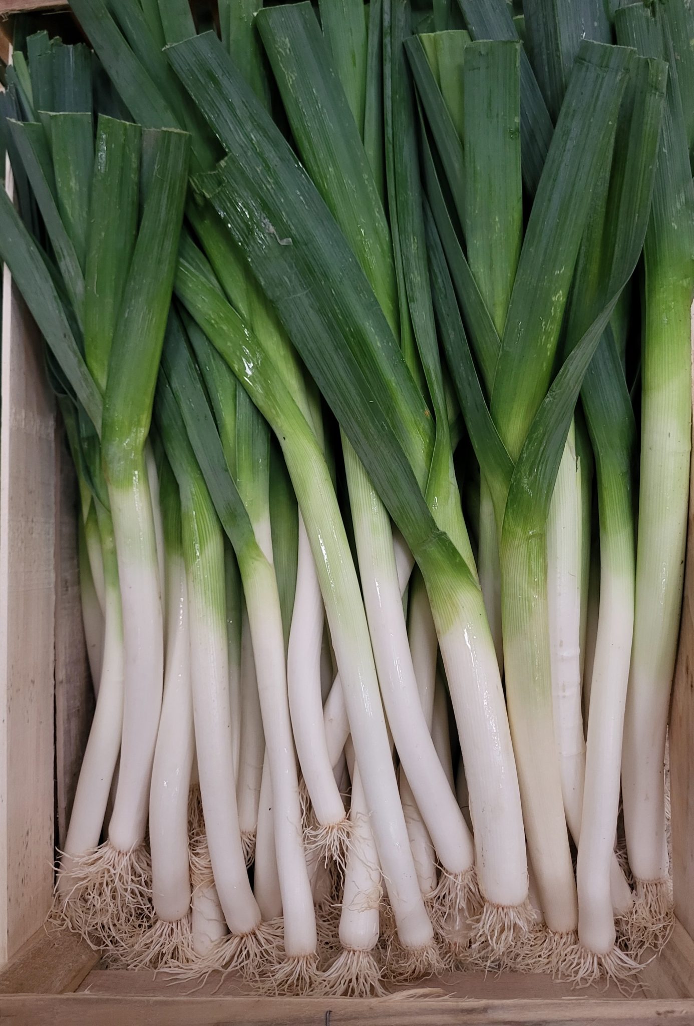 Carotte Navet Poireaux - Primi Frutti