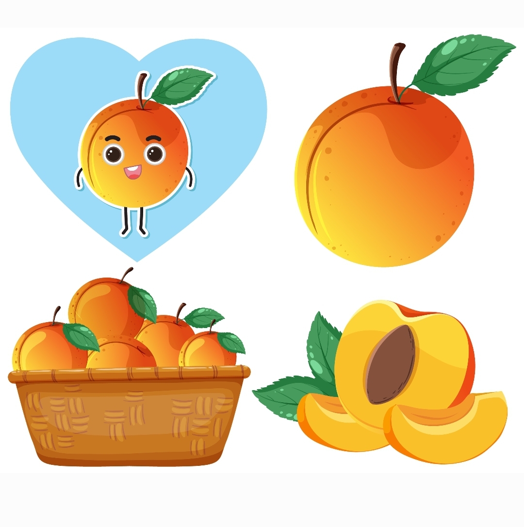 FRUIT - Primi Frutti